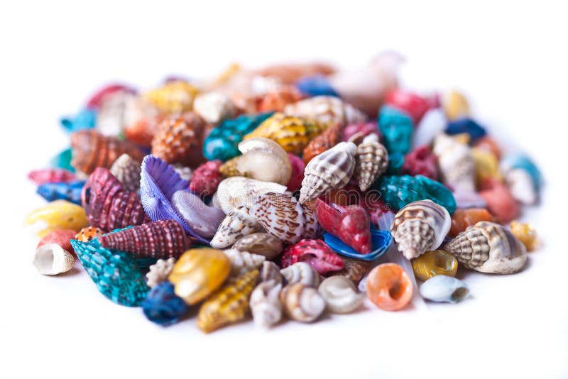 Pile of colorful seashells stock photo. Image of color - 17899450