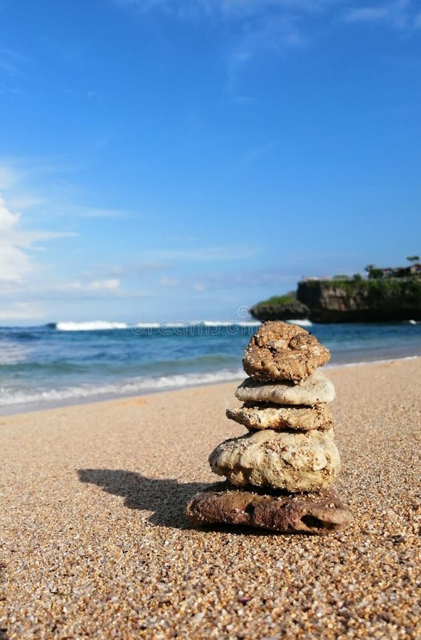A pile of coral stock photo. Image of java, sand, horizon - 258982478