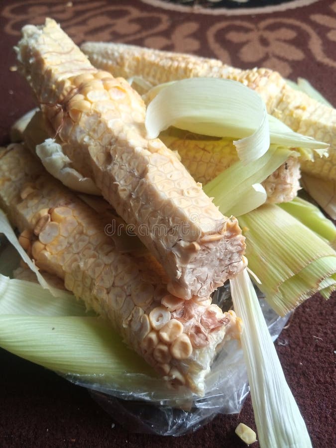 Pile of Corn Husking Leftovers Stock Image - Image of pile, delicious ...