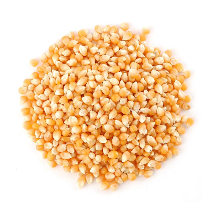 Pile of corn seeds stock image. Image of corn, health - 13457925