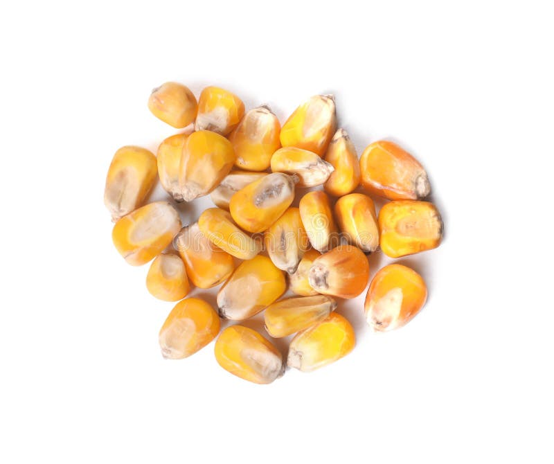 Pile of Corn Seeds on White Background, Top View Stock Photo - Image of ...