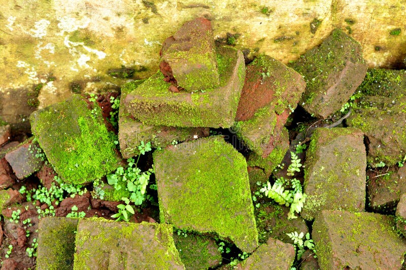 Pile of Crushed and Weathered Red Bricks with Moss Stock Image - Image ...