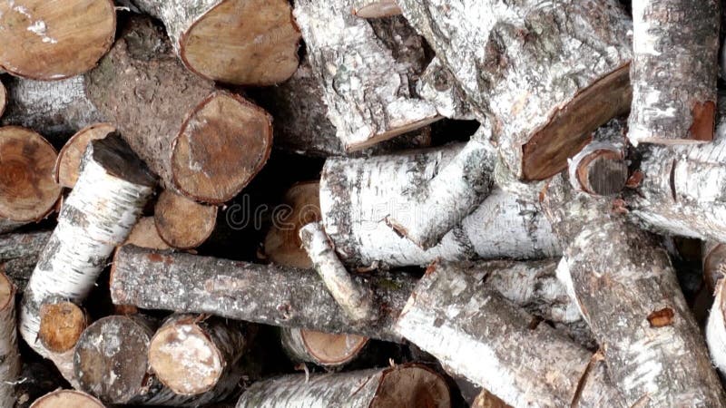 Pile of Cut Birch Logs of Different Cross-sections are Piled Up on ...