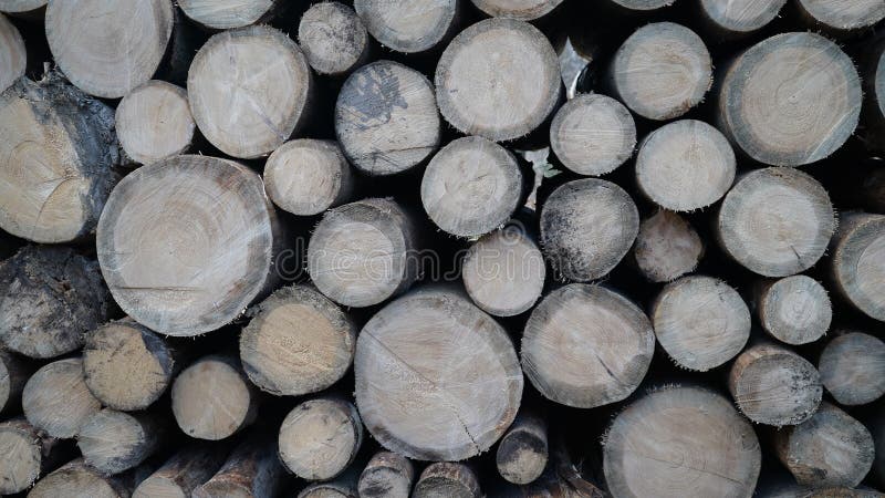 Pile of Cut Logs As a Burning Material Stock Image - Image of burning ...