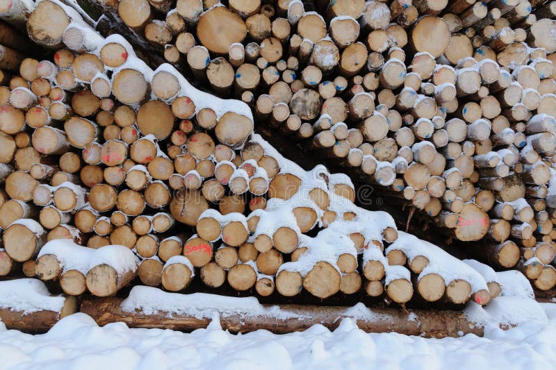 A Pile of Cut Logs Covered in Snow Stock Photo - Image of snow, rural ...