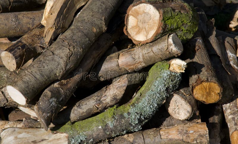 A Pile of Logs Ready for Fire Wood Stock Image - Image of english ...