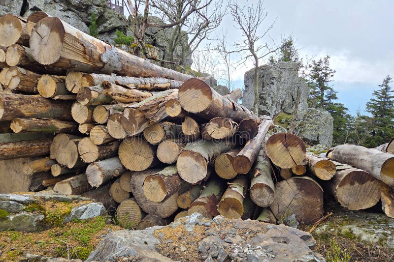 Pile of Cut Logs in a Rocky Forest Setting for Timber and Lumber ...