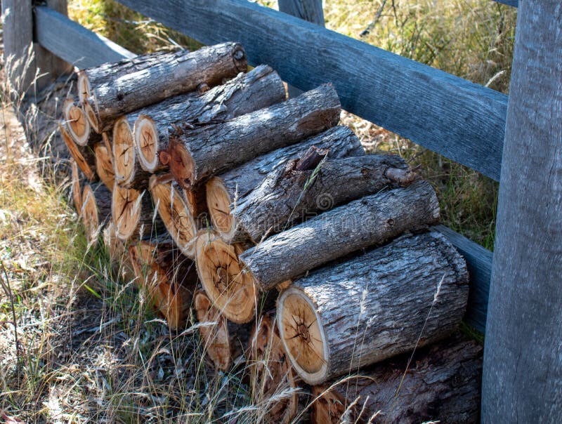 Pile of Cut Logs for Winter in a Paddock Stock Photo - Image of outdoor ...