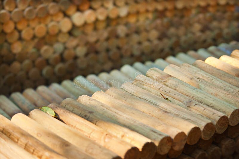 Pile of cut wood logs stock image. Image of circle, pine - 156804669