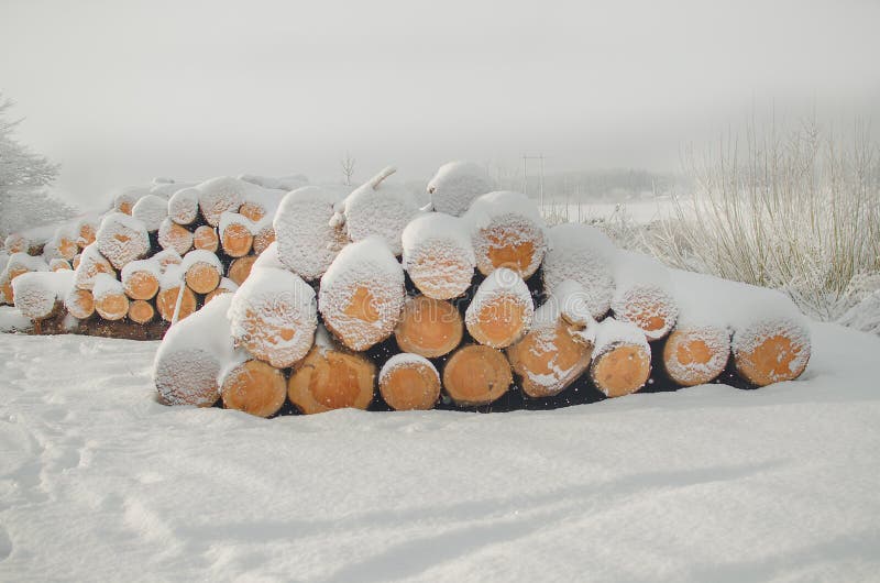 Pile of Cut Wood Logs Under Winter Snow Stock Photo - Image of ...