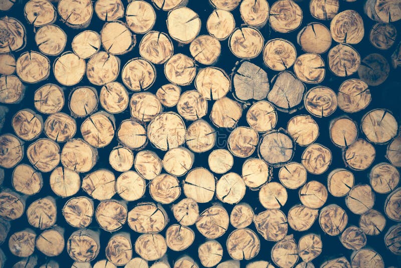 4,818 Piled Firewood Wood Texture Stock Photos - Free & Royalty-Free ...