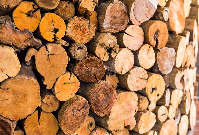 Pile of Cut Wood Stump Log Texture Used As Background Stock Photo ...