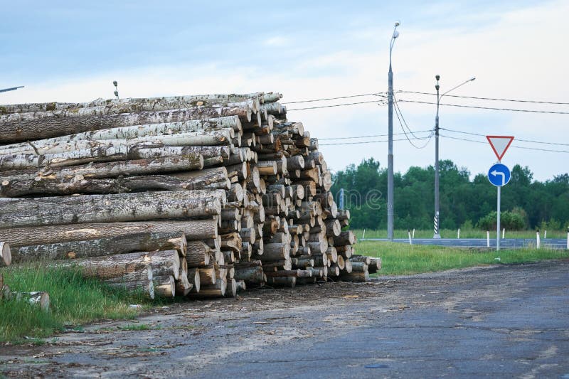 Pile of Cut Wooden Logs Lying on the Roadside in Russia Stock Photo ...