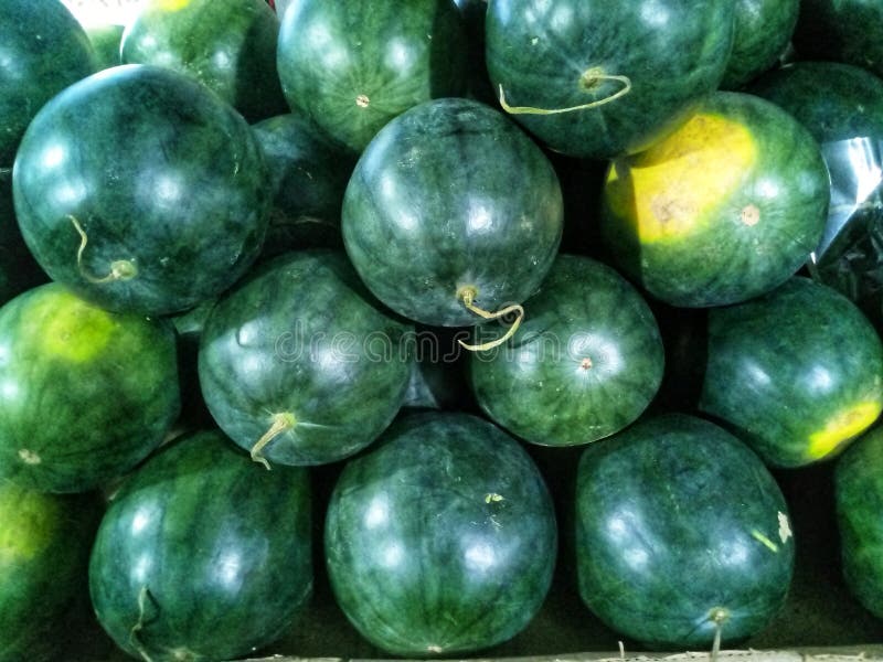 A Pile of Dark Green Watermelons, Some with a Yellow Patch from Resting ...