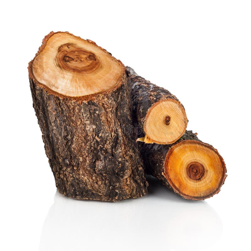 Pile De Bois Coupé De Feu De Bois D'arbre Photo stock - Image du nature ...
