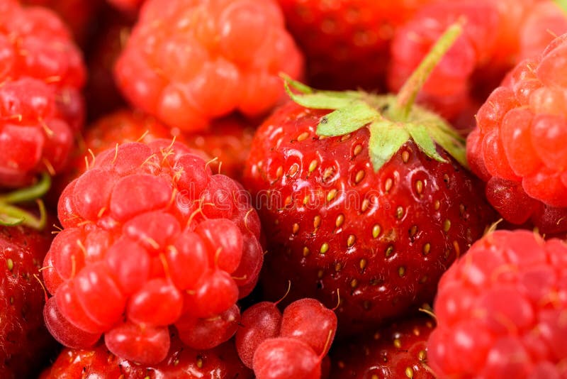 Grande Fraise Rouge Dans Une Pile Sur Un Fond Blanc Image stock - Image ...