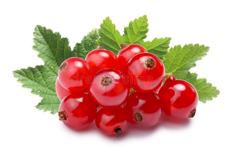 Pile De Groseille Rouge (rubrum De Ribes), Chemins Image stock - Image ...