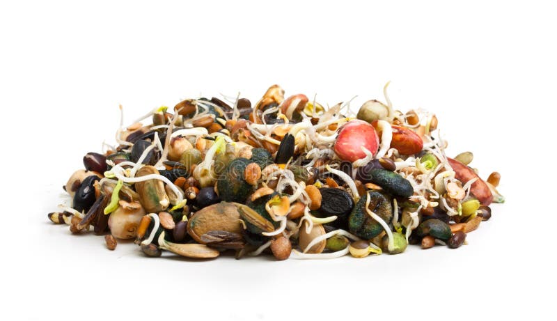 Pile of Different Seeds Growing Stock Image - Image of nurturing ...