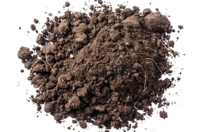 A Pile of Dirt on a White Surface with No Distractions or Surrounding ...