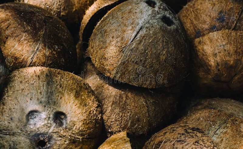 Pile of Discarded Coconut Husks Stock Image - Image of nature, husks ...