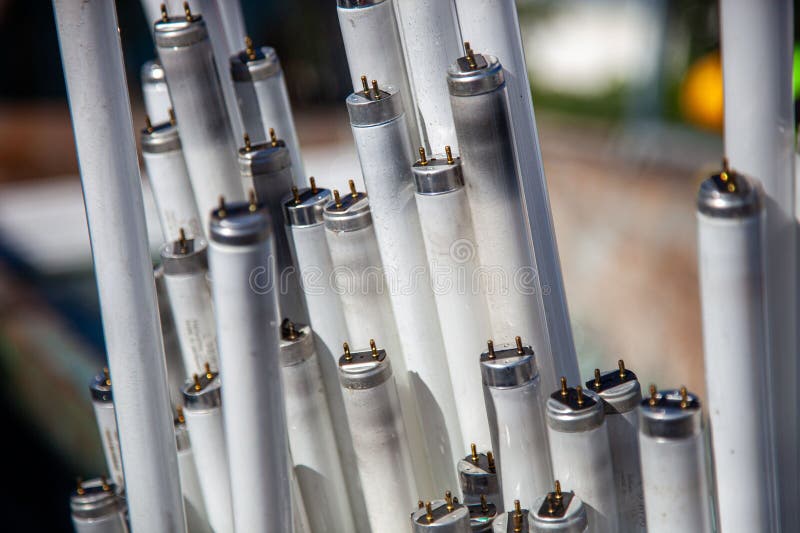 A Pile of Discarded Fluorescent Light Bulbs, Ready for Recycling. Stock ...