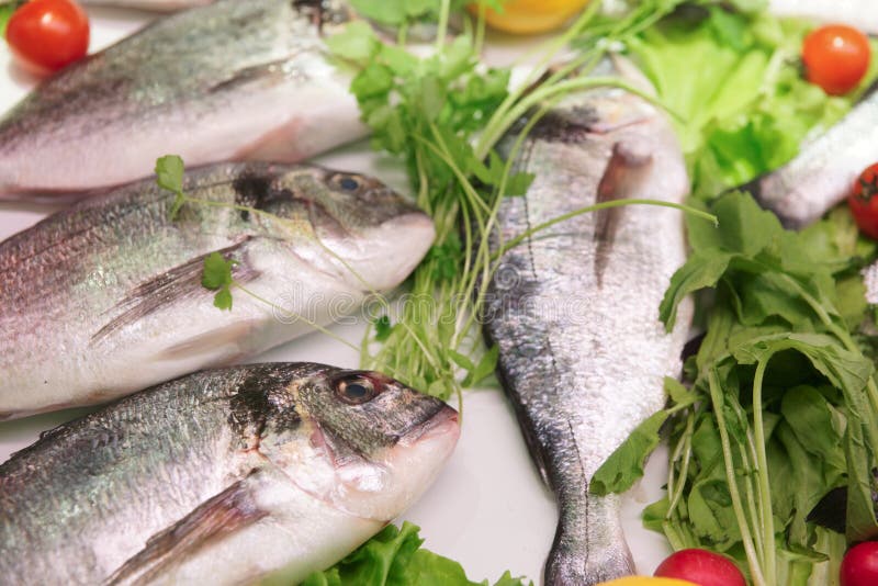 Pile of dorade stock photo. Image of gilthead, silver - 16427878