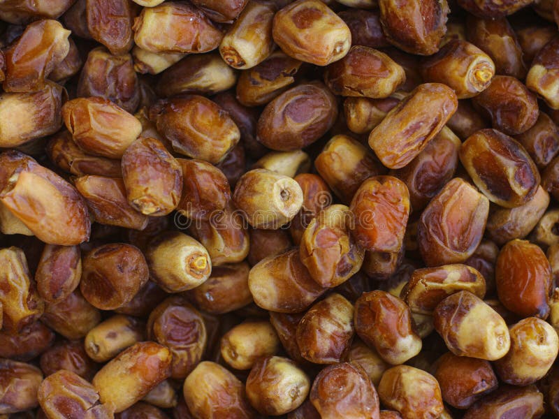 Pile of dried dates. stock image. Image of drink, produce - 354497739