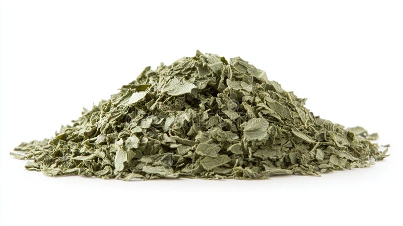 Pile of Dried, Light-green, Shredded Leaves Stock Illustration ...