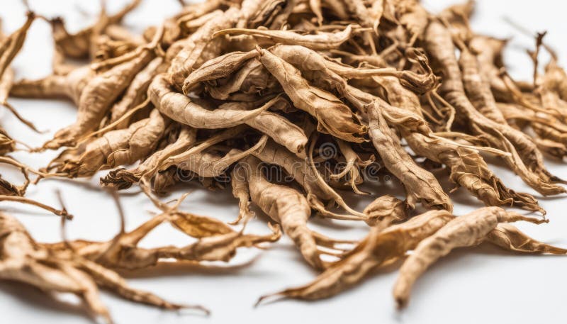 A Pile of Dried Plant Roots on a White Surface Stock Illustration ...