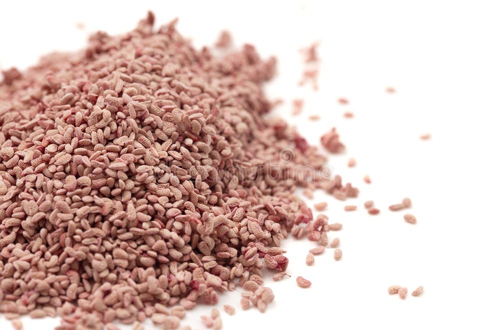 A Pile of Dried Red Raspberry Seeds Isolated on a White Background ...