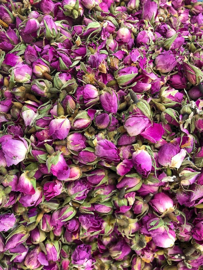 Pile of Dried Rose Flowers for Herbal Tea Stock Image - Image of ...