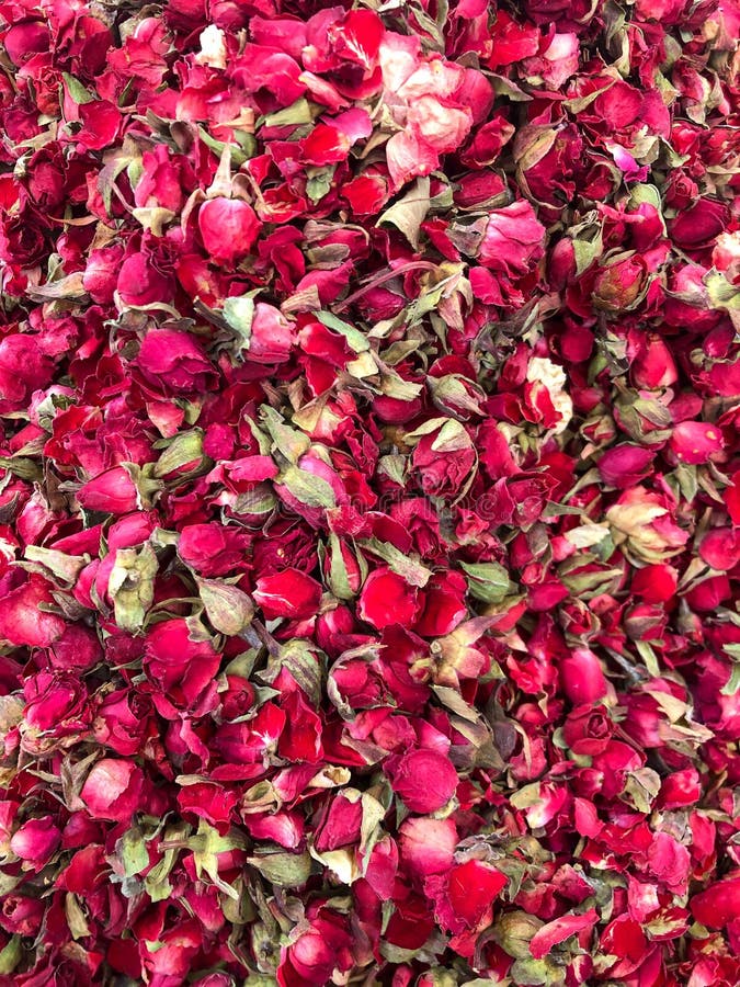 Pile of Dried Rose Flowers for Herbal Tea Stock Photo - Image of ...