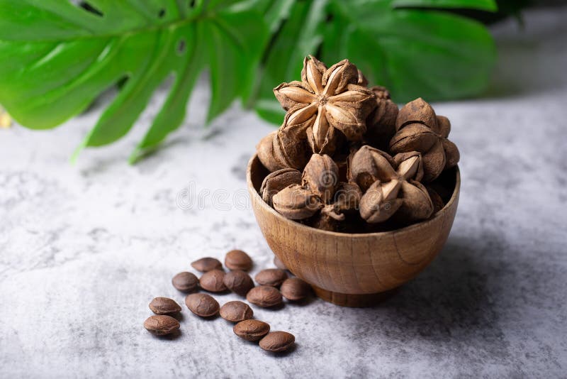 A Pile of Dried Sacha Inchi Nuts. Natural Background in Lighting Studio ...