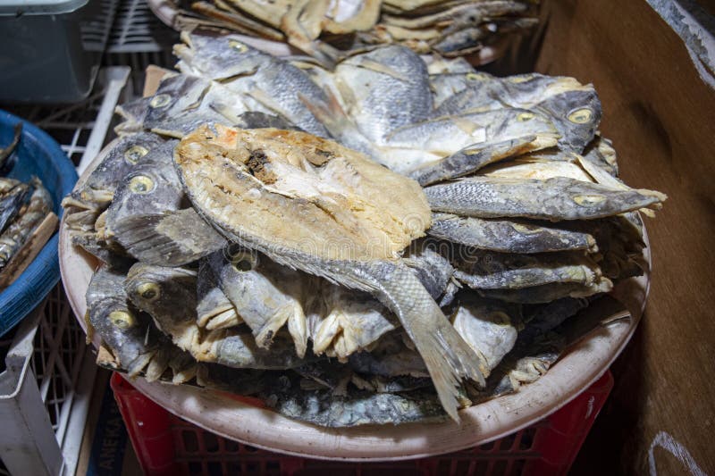 A Pile of Dried Salted Fish in the Plastic Bucket Stock Photo - Image ...