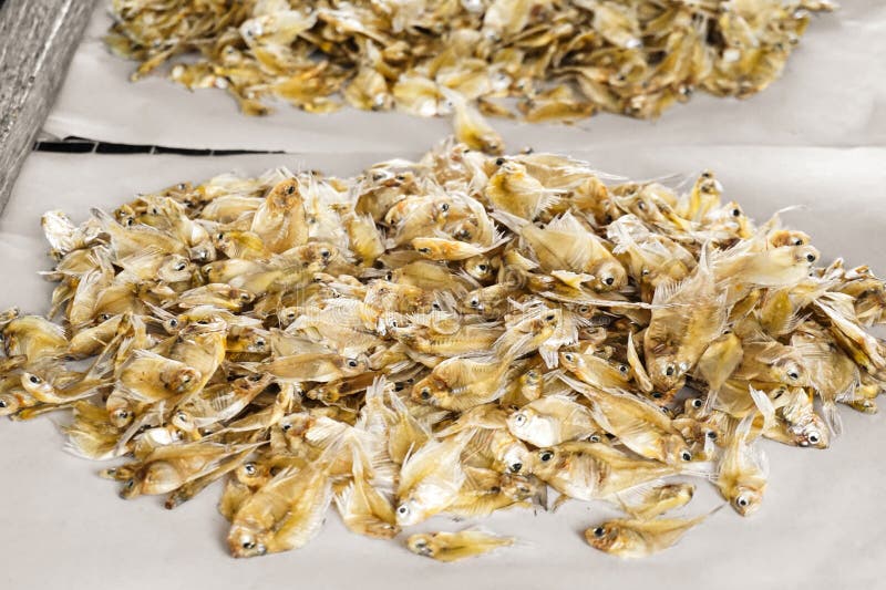 Pile of Dried Small Fish in Market Stock Image - Image of appetizer ...