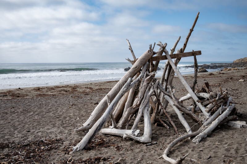 Pile of Driftwood on the Beach Stock Image - Image of pile, water ...