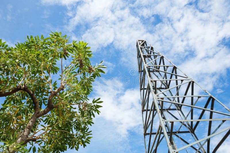 Pile Driver and tree stock image. Image of architecture - 66214389