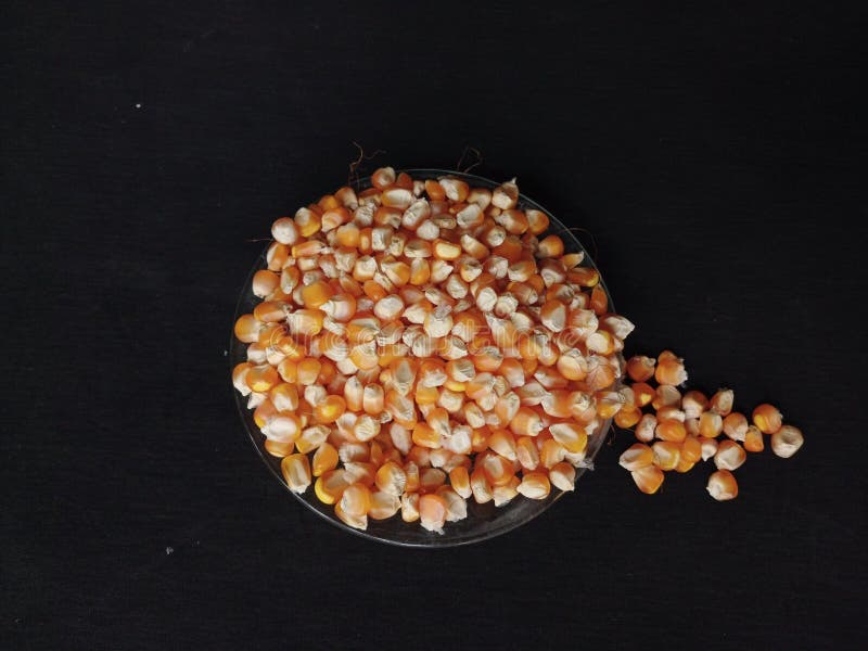 Pile of Dry Corn Kernels. Stacked Corn Kernels Isolated on Black ...