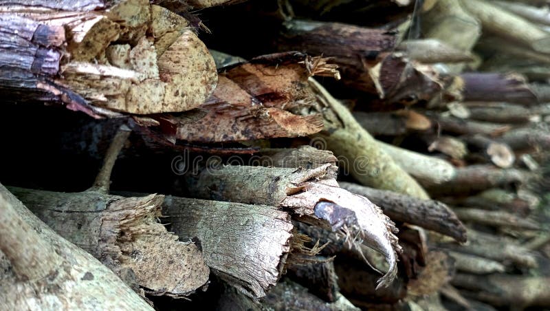 Cijapati Area Stock Photos - Free & Royalty-Free Stock Photos from ...