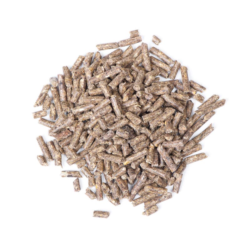 161 Mouse Pellets Photos - Free & Royalty-Free Stock Photos from Dreamstime