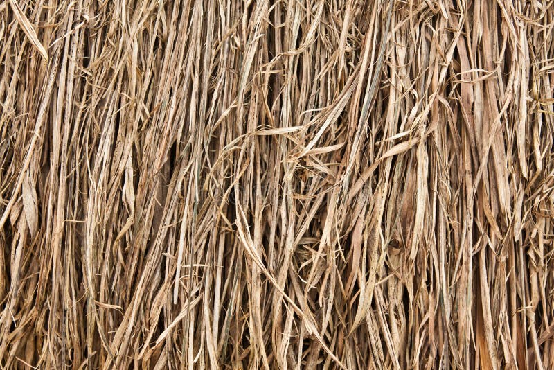 Pile of dry grasses stock image. Image of backdrop, abstract - 22756743