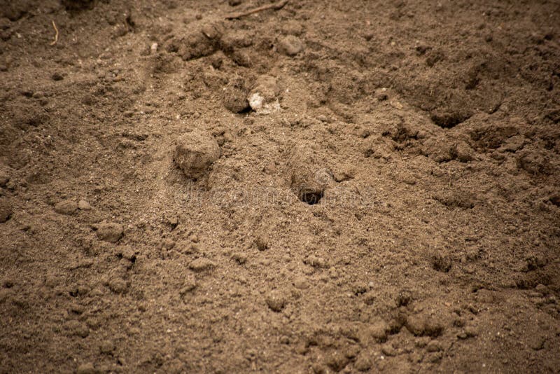 A pile of dry land stock image. Image of view, earth - 141044391