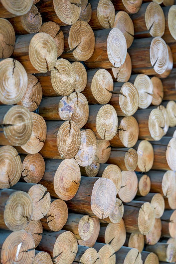 Pile of Dry Logs for Firewood Closeup Stock Image - Image of poplar ...