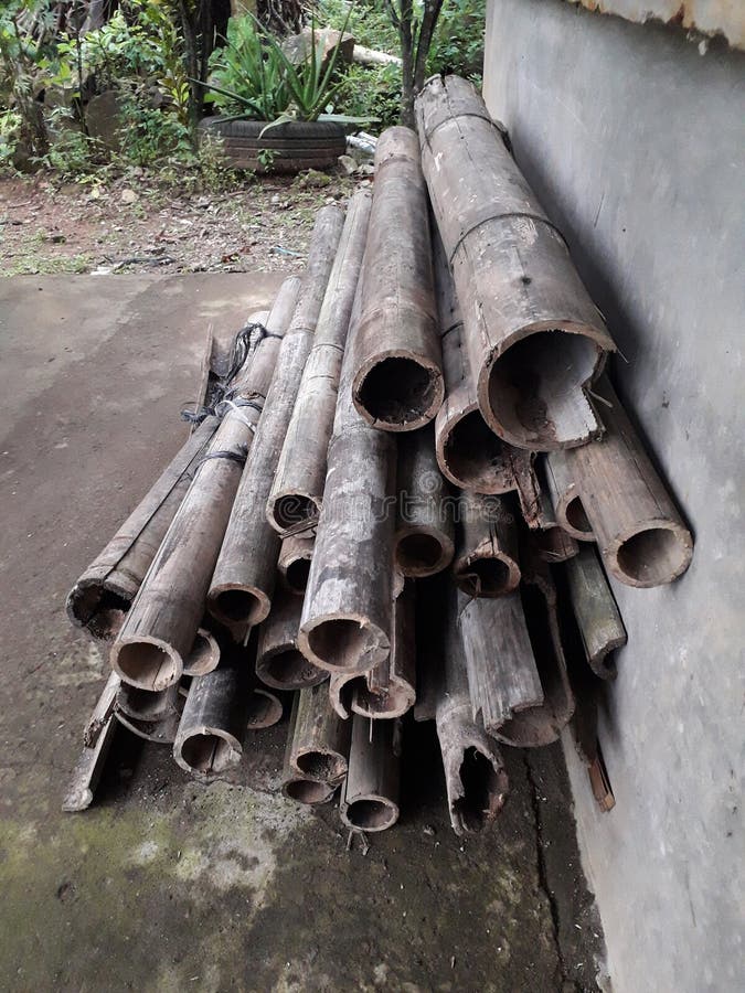 Pile of Dry and Old Bamboo with Faded Color Stock Image - Image of pile ...