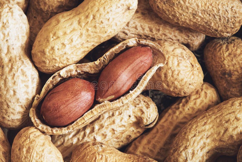 Roasted Peanuts Salted, in Shell I Stock Photo - Image of peanut ...