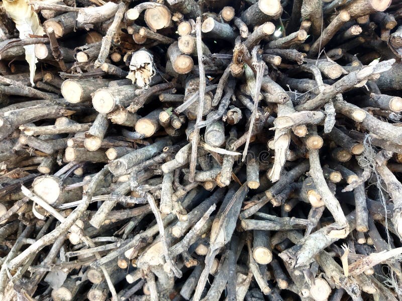 A Pile of Dry Wood Forms a Unique Texture As a Background. Stock Photo ...