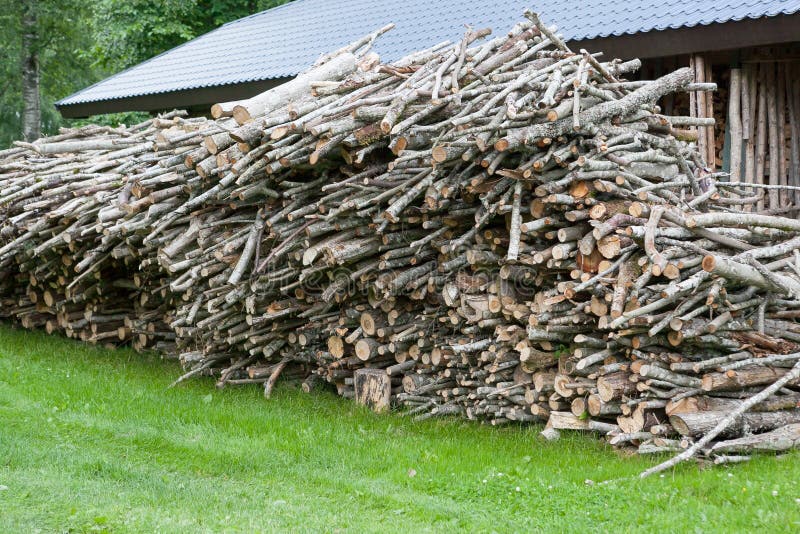 Pile of dry sticks stock photo. Image of pile, plant - 112090948