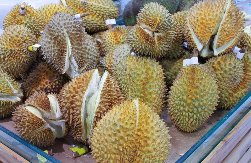 4,421 Spiky Fruit Photos - Free & Royalty-Free Stock Photos from Dreamstime