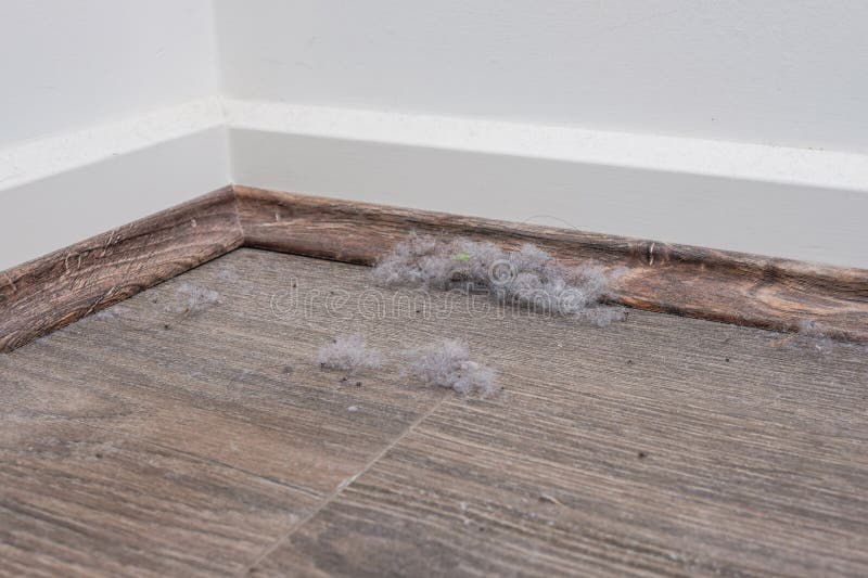 Pile of Dust on the Floor in the Corner of the Room Stock Photo - Image ...