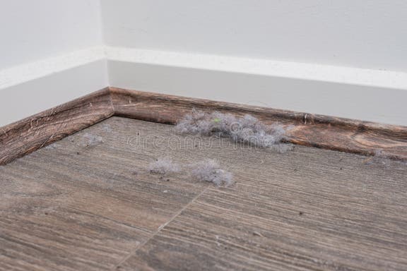Pile of Dust on the Floor in the Corner of the Room Stock Photo - Image ...